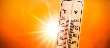 How To Regulate Room Temperatures For Magic Mushrooms